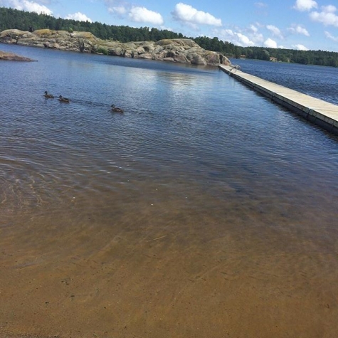 BADKARTAN.SE » Sjöängen, Drevviken » Bild av @ros440 - Fint vatten men ...