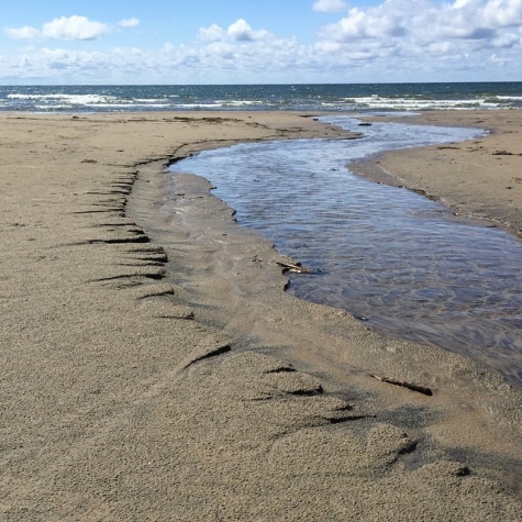 BADKARTAN.SE » Haverdal » Bild av @pruif - Haverdals strand.