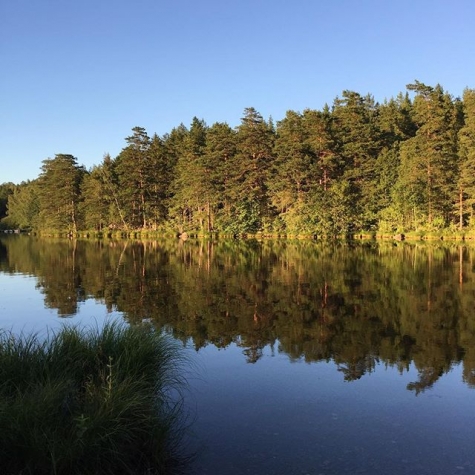 BADKARTAN.SE » Krampan Marviken » Bild från Marvikarnas Naturreservat ...
