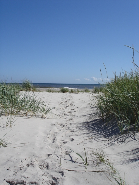BADKARTAN.SE » Bilder från Borrby strand, Kyhl (11 st)