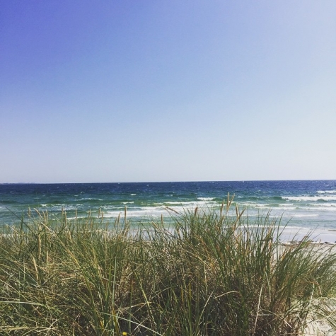 BADKARTAN.SE » Ljungskogen » Bild från Ljunghusen Beach av @annkron ...
