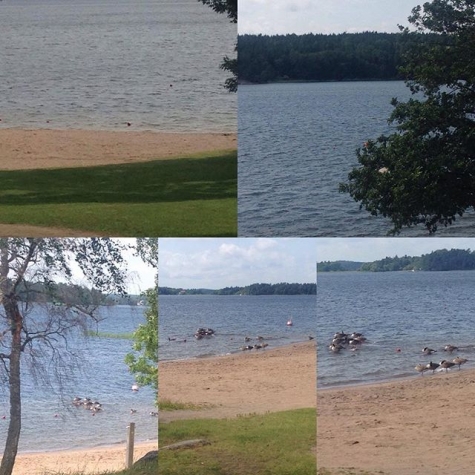 BADKARTAN.SE » Kaananbadet V, Mälaren » Bild av @pollianicus - Orla ...