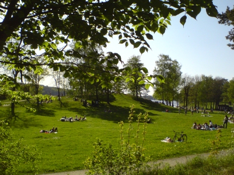 BADKARTAN.SE » Kaananbadet V, Mälaren » Härlig miljö
