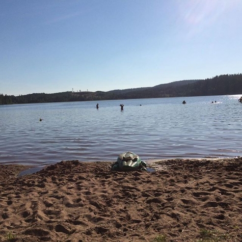 BADKARTAN.SE » Dammsjön, Solvarbo » Bild från Dammsjön av @mimmamelle ...