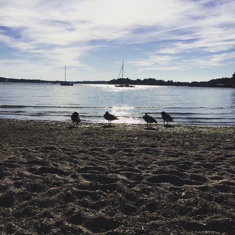 BADKARTAN.SE » Breviksbadet, Trälhavet » Bild från Brevikshavsbad av ...