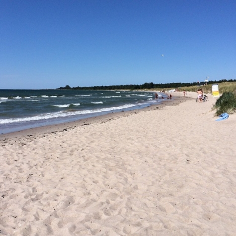 CAMPINGKARTAN.SE » Tofta Camping » Bild av @visitgotland - Gott om ...