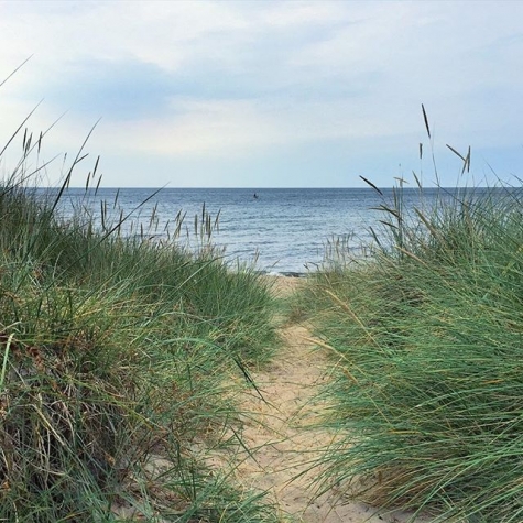 CAMPINGKARTAN.SE » Nybrostrands Camping » Bild från Beachen Nybrostrand ...